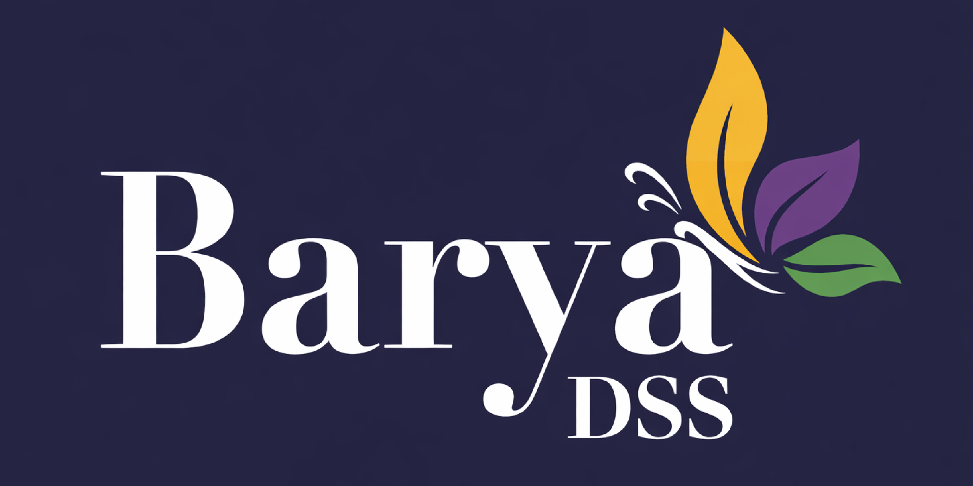 How We Support - Barya DSS